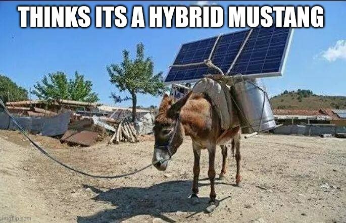 20 Solar Panel Memes, Comics, and Jokes: Get Ready to LOL!