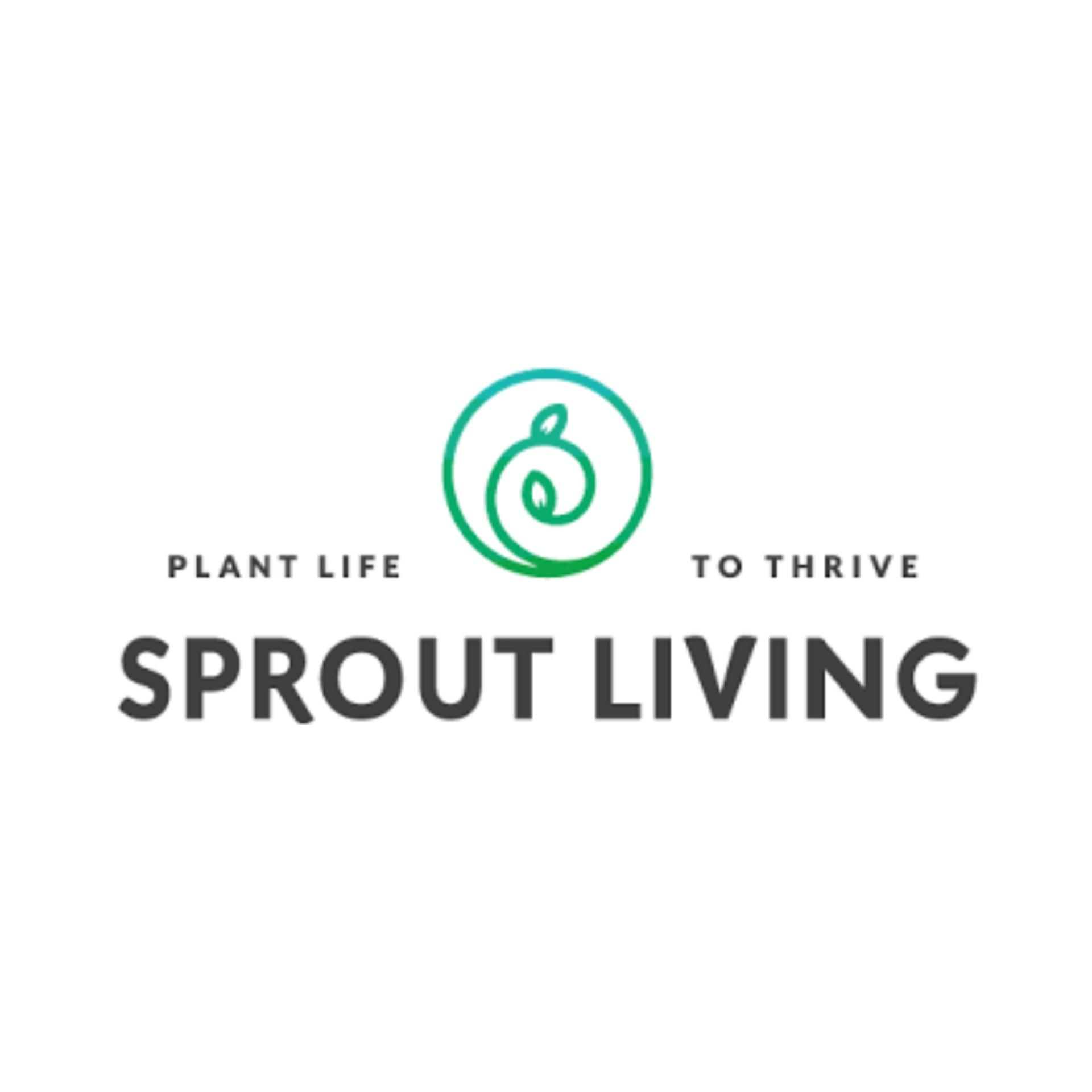 Enhancing Sprout Living's Site Performance on Shopify Plus: A ...