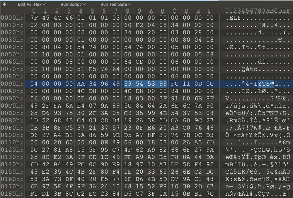 Analysis of the SBIDIOT IoT Malware