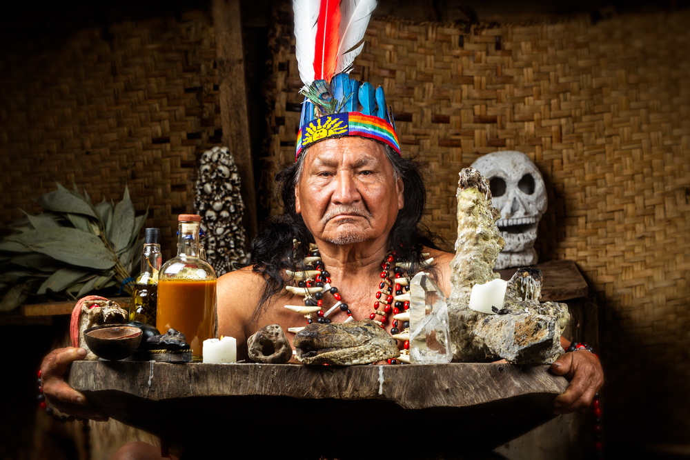 Traditional Medicine Across Cultures: A Comprehensive Global Exploration