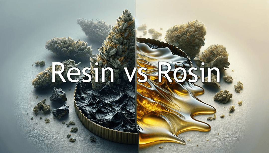 Resin vs Rosin: Understanding the Key Differences in Cannabis Concentrates