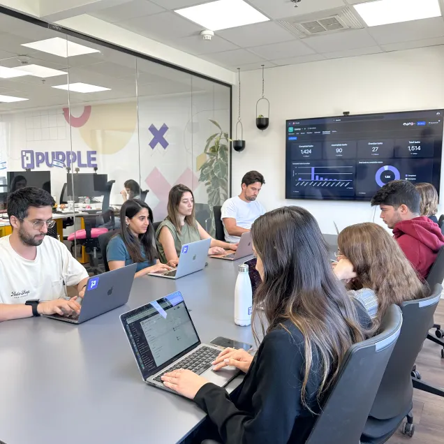 PURPLE - Software Playground