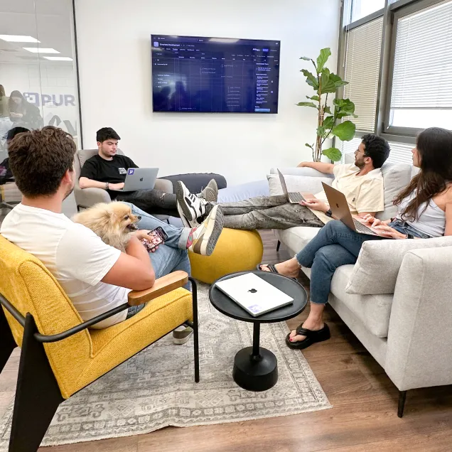 PURPLE - Software Playground