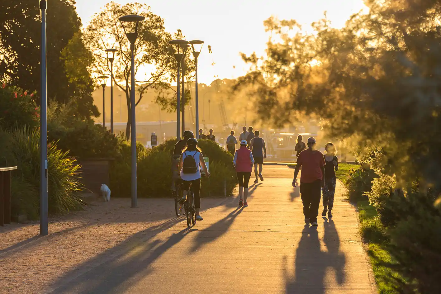 NSW Government invests in active transport planning tech