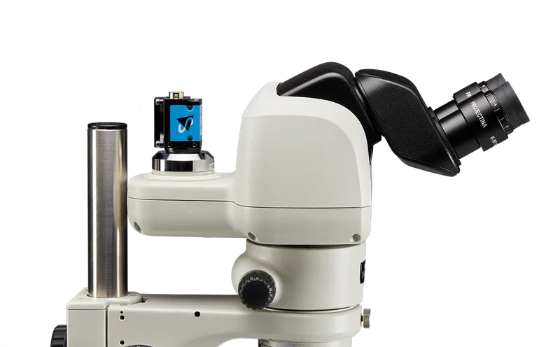 PAG 1000 | Projectina