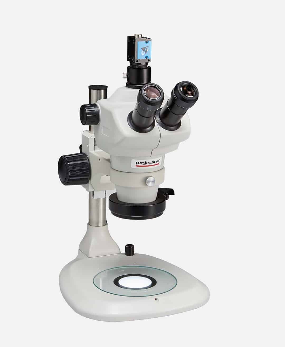 Ballistics | Projectina