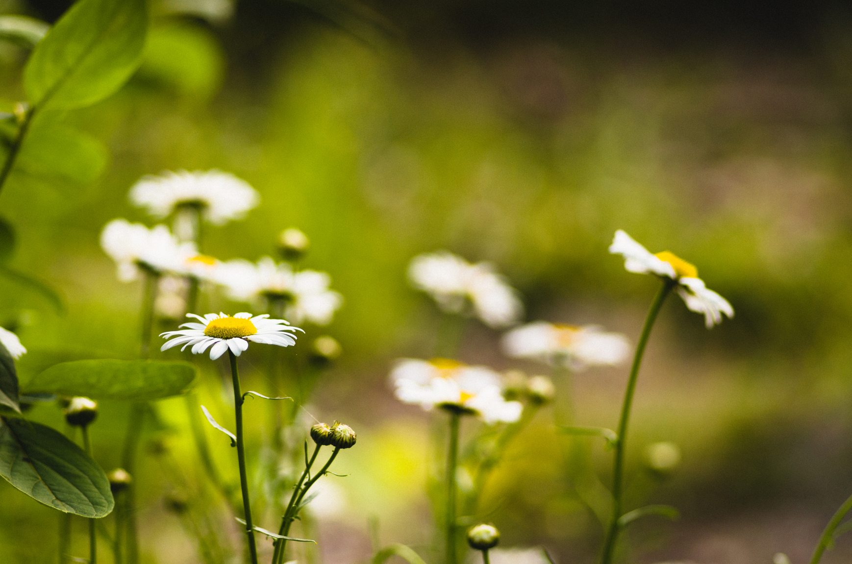 CPT vs. EMDR: A Guide to PTSD Treatments - Nema Health: Blog Post