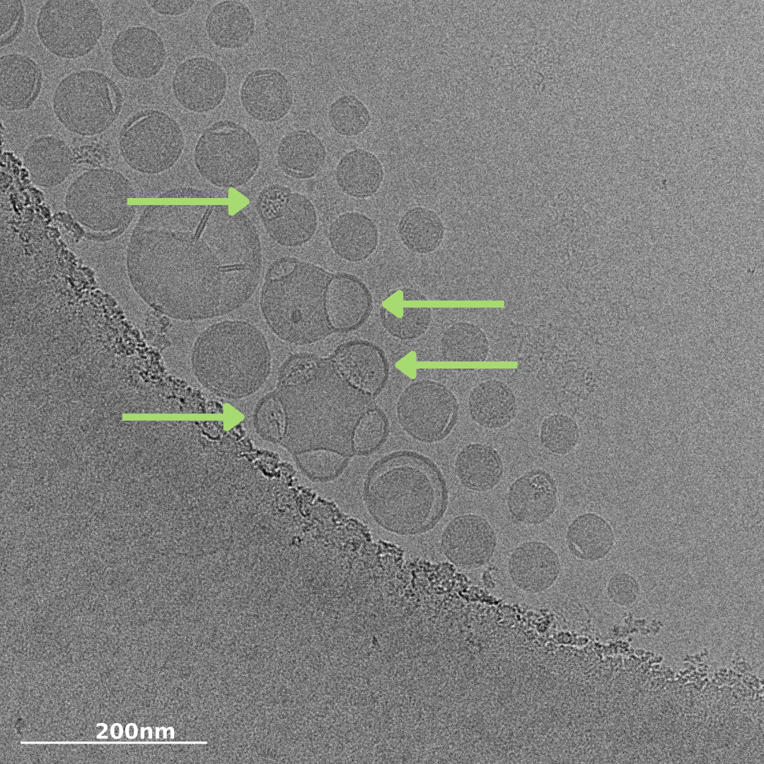 Comparing Analytical Techniques for Nanoparticle Characterization
