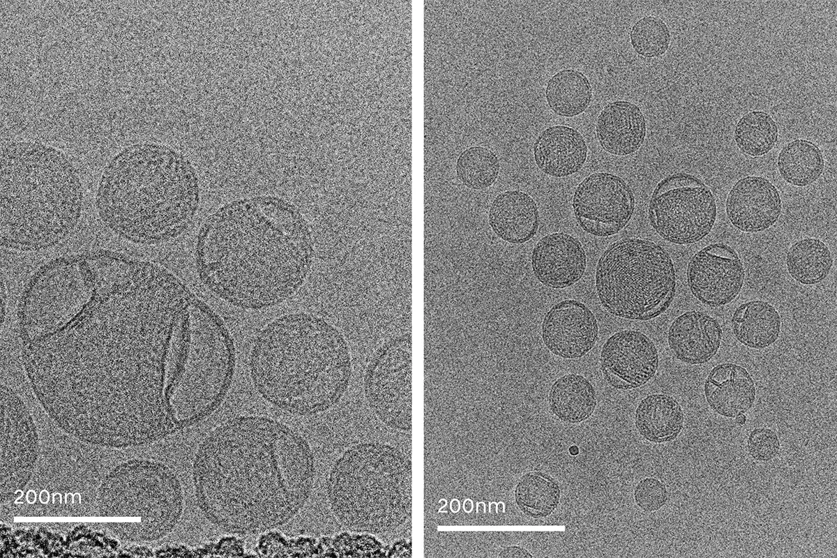 Seeing Through the Fog: Cryo-TEM as a Powerful Analytical Tool for LNP ...