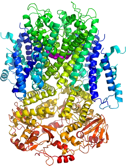 NanoImaging Services | Cryo Electron Microscopy CRO | Cryo-EM Services