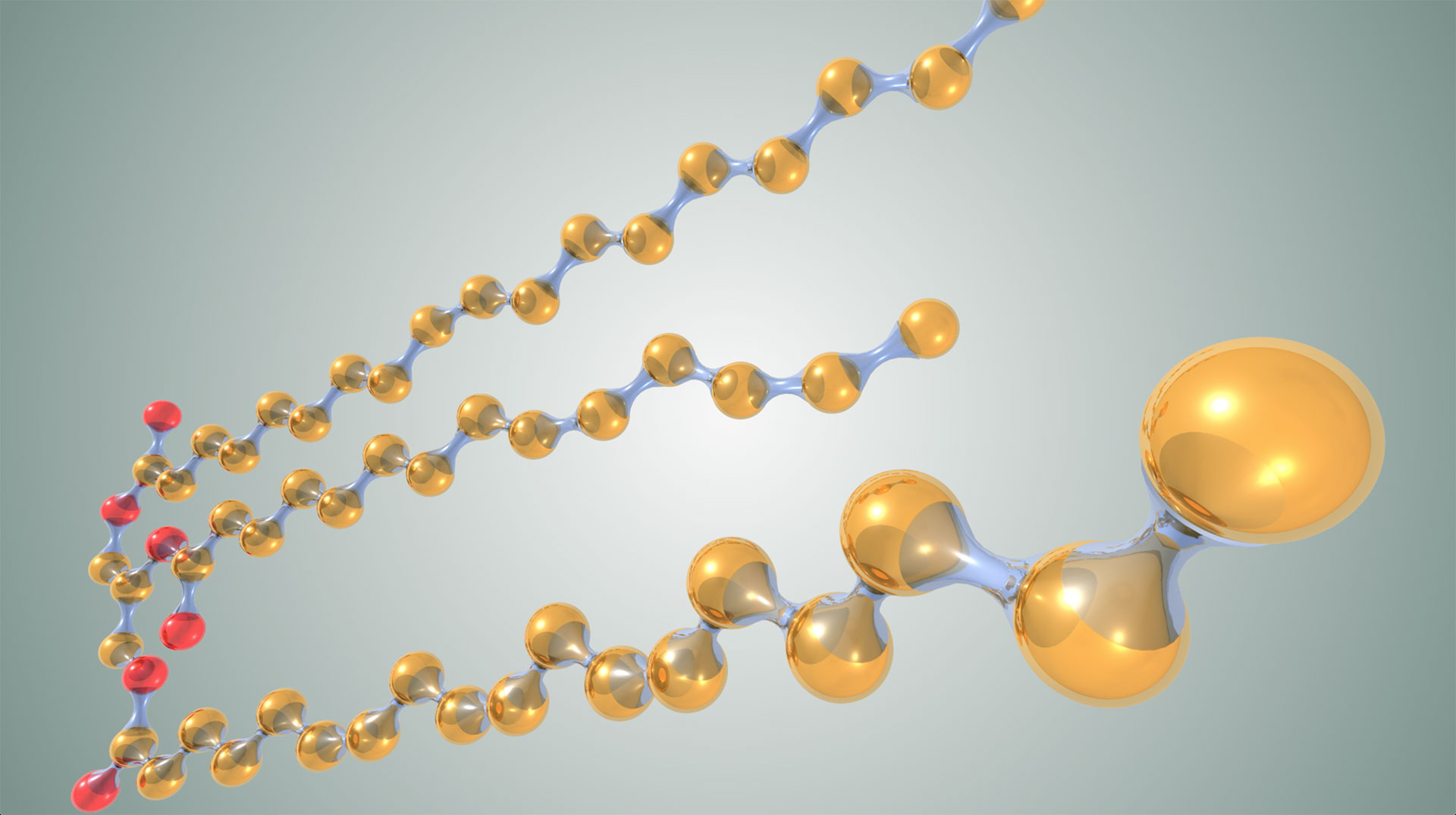 Case Study | Solazyme Biotech IPO Motion Graphic Video