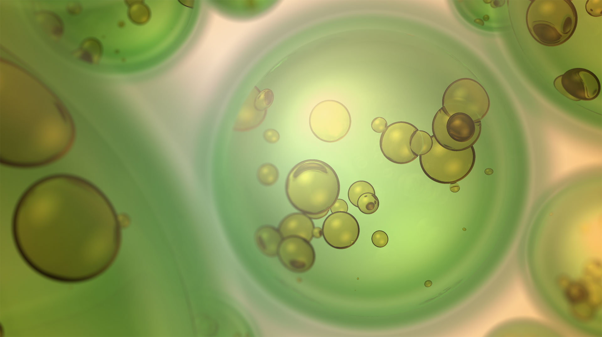 Case Study | Solazyme Biotech IPO Motion Graphic Video