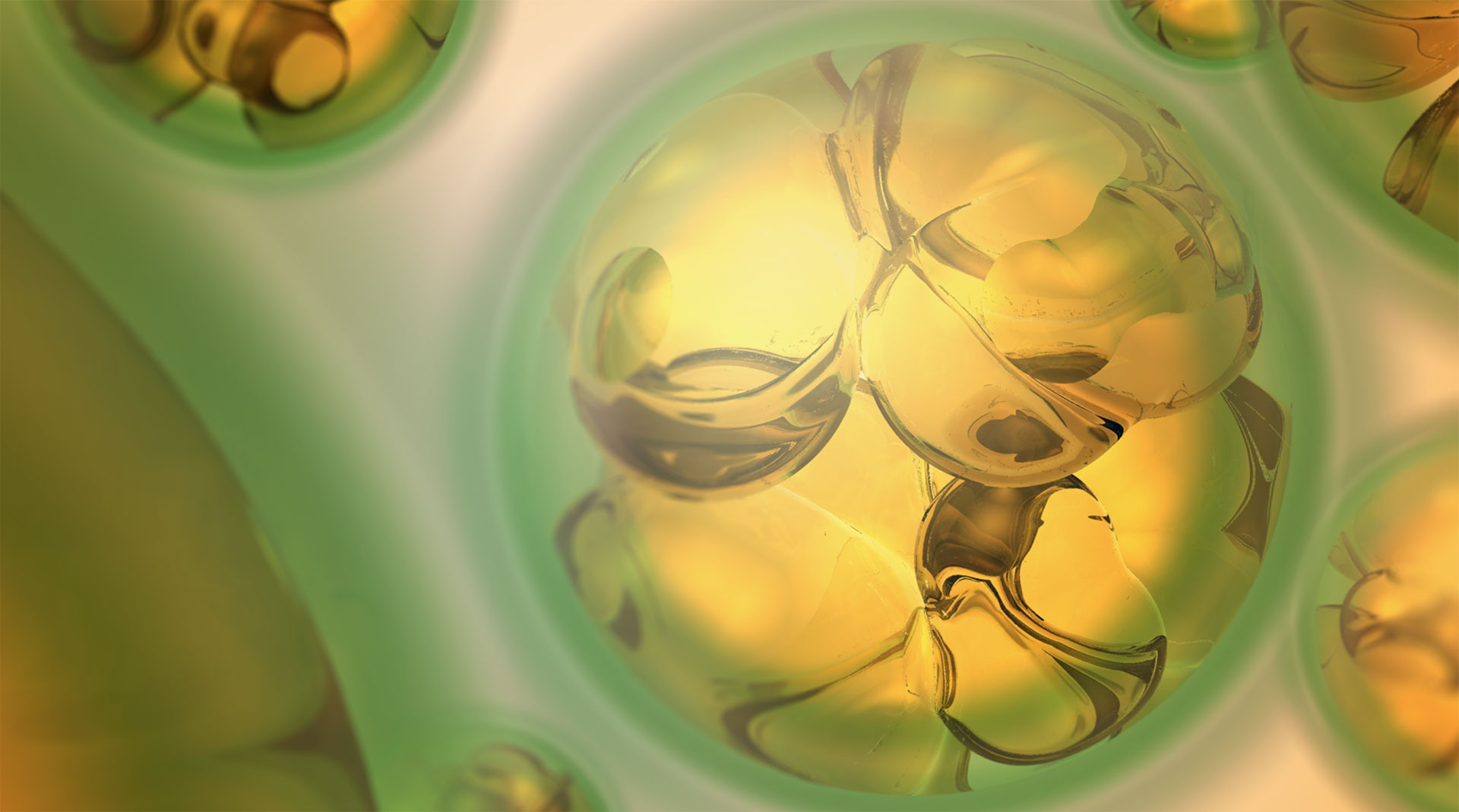 Case Study | Solazyme Biotech IPO Motion Graphic Video