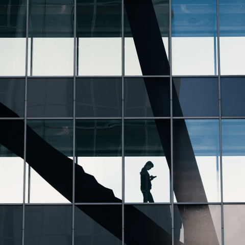 The world’s first global collegiate university