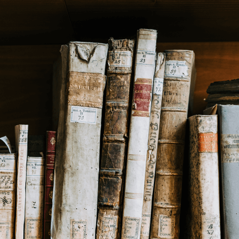 The world’s first global collegiate university