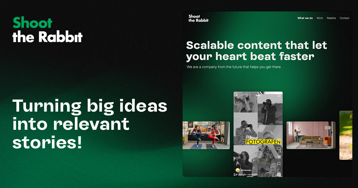 Shoot the Rabbit | What we do