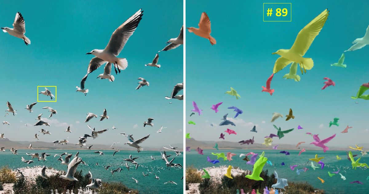 T-Rex Object Counting Model: Accurate & Interactive