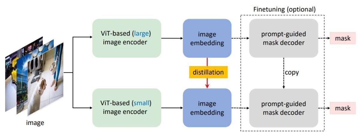 Master MobileSAM: a lightweight Segment Anything Model
