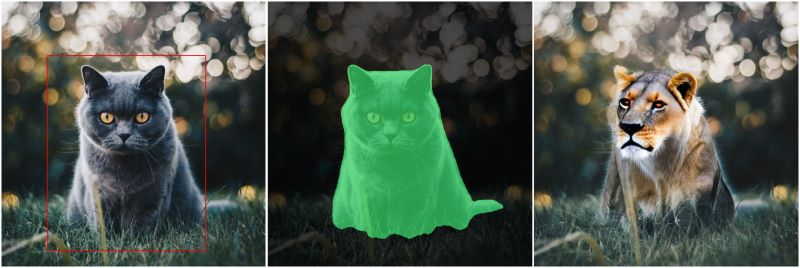 Master MobileSAM: a lightweight Segment Anything Model