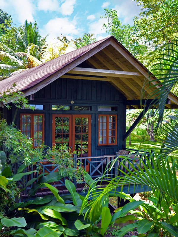 Sunset at the Palms | Air Canada Vacations