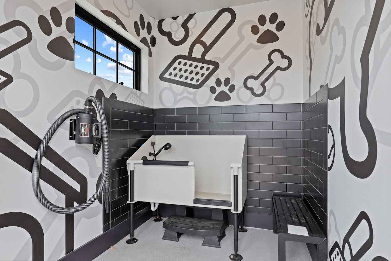 5 Communities with Luxury Pet Amenities