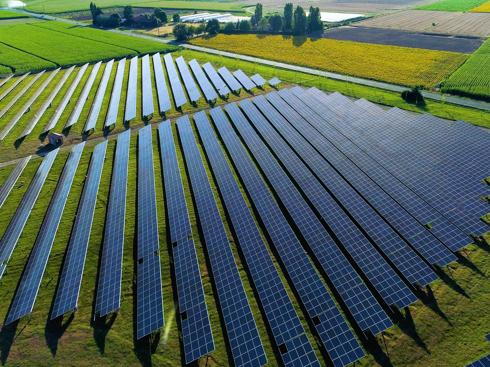 Solar Vegetation Management In The Midwest | GT Solar Maintenance