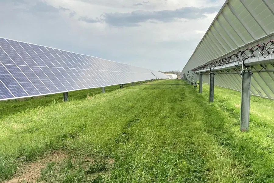 Solar Vegetation Management In The Midwest | GT Solar Maintenance