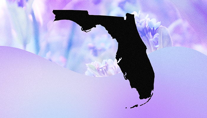 How FOLX Gender-Affirming Care Works in Florida