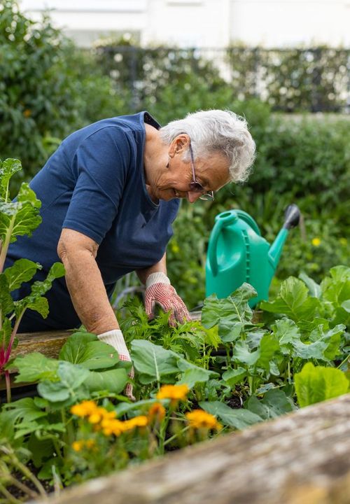 Everil Orr | Take Your Retirement to the Next Level