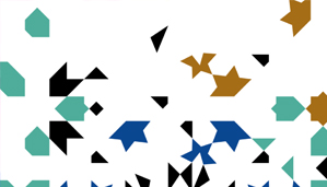 Common Standards on GBV for Public Companies