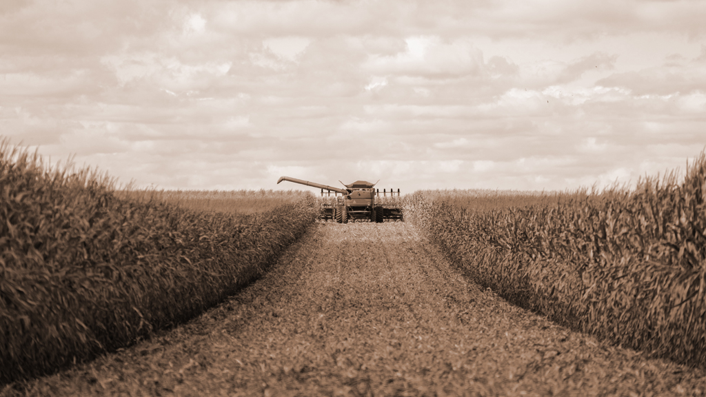 Disrupting Fields: Addressing Power Dynamics in the Fields of Climate ...