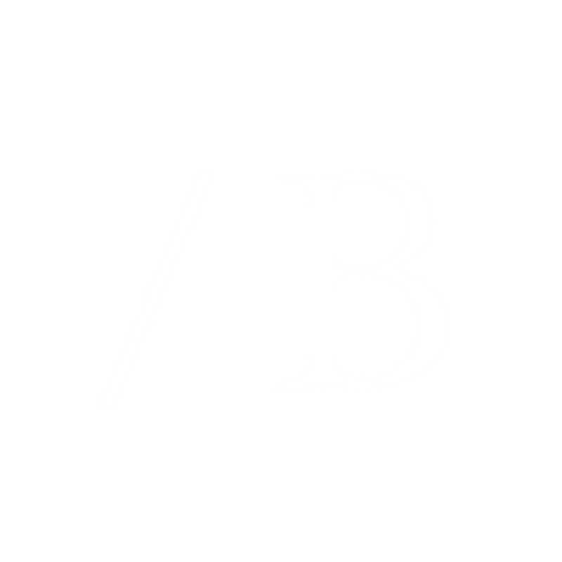 Blank Slate Technologies