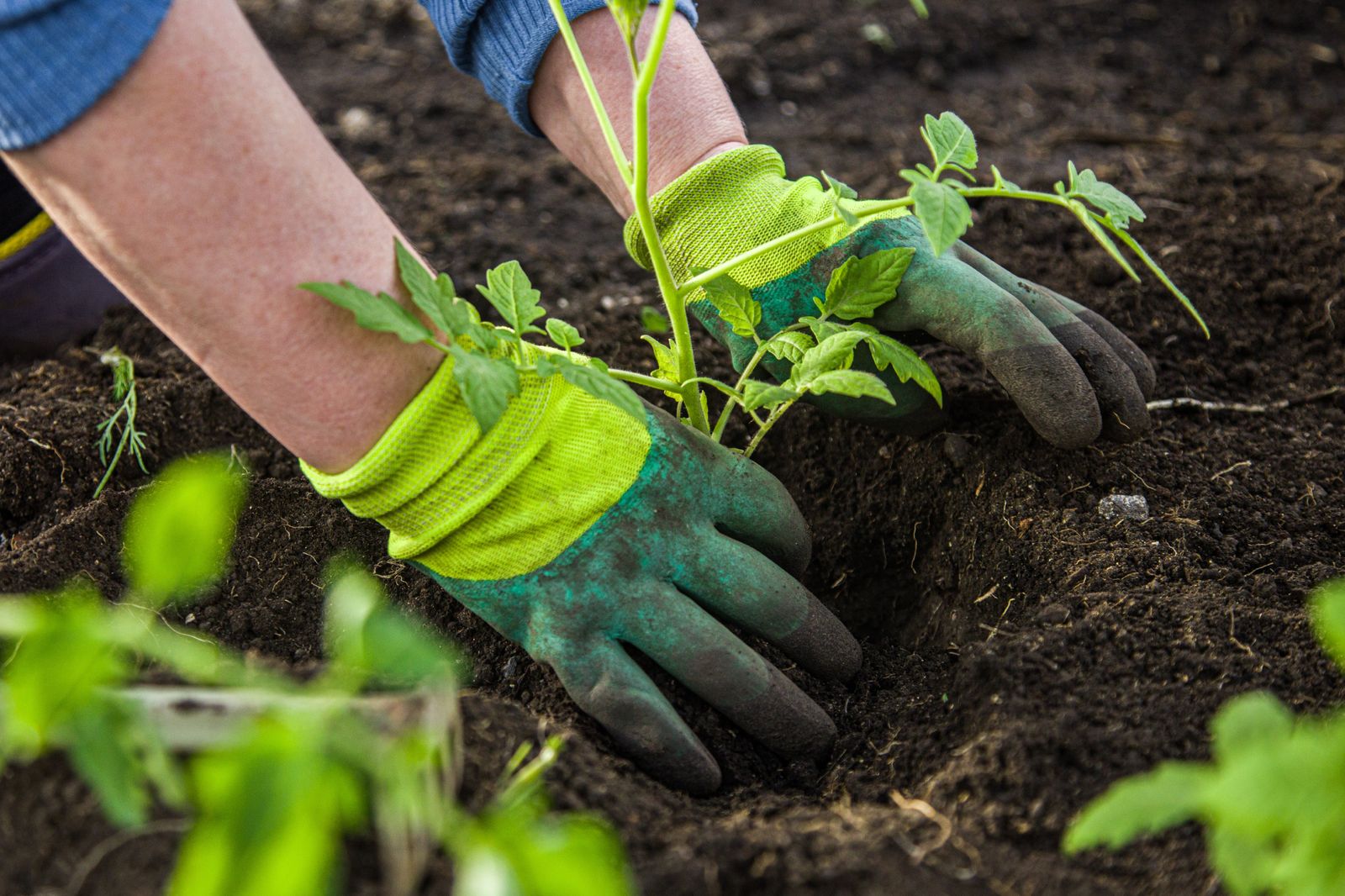 Division St Contracting – Services