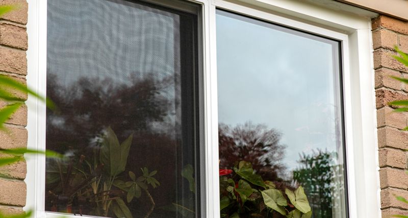 Clera Windows: Replacement Windows & Doors in Toronto