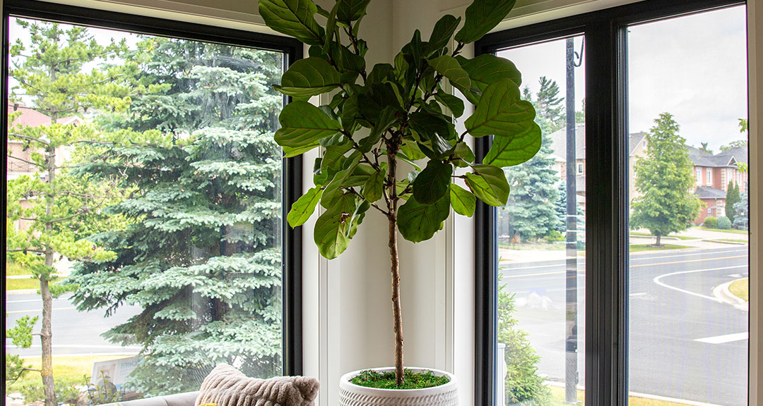 Vinyl Windows | Clera Windows + Doors