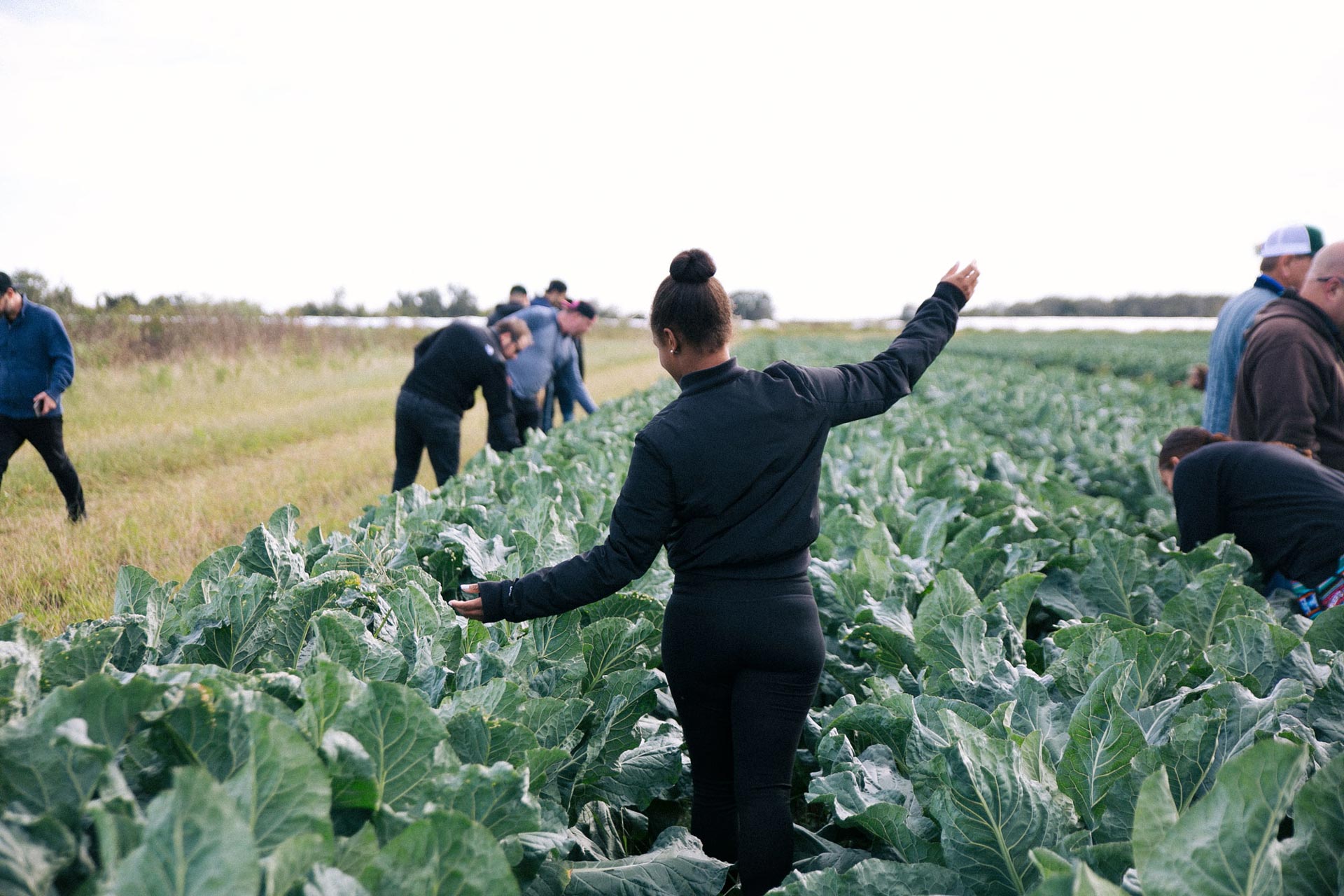 Careers | Fresh Kitchen