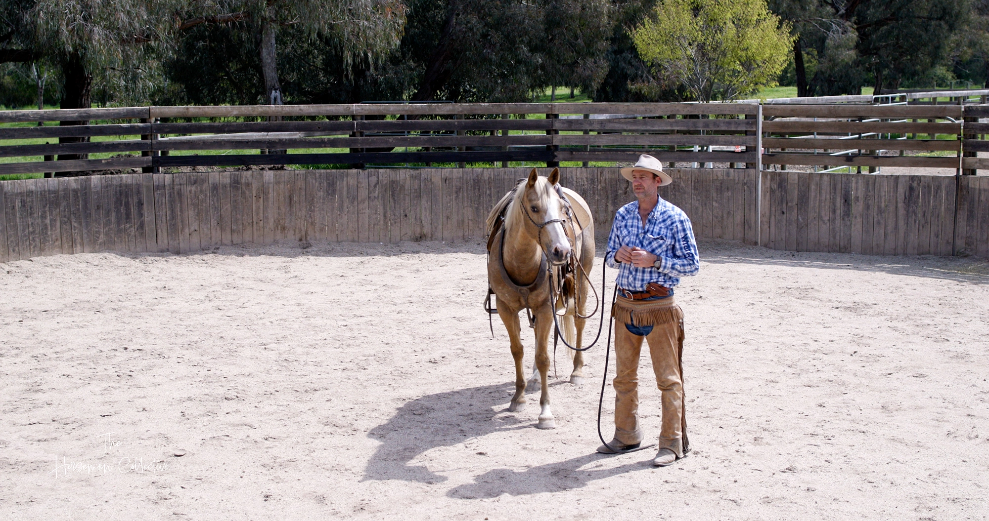 Online lessons in Dressage & Western & Equine Health