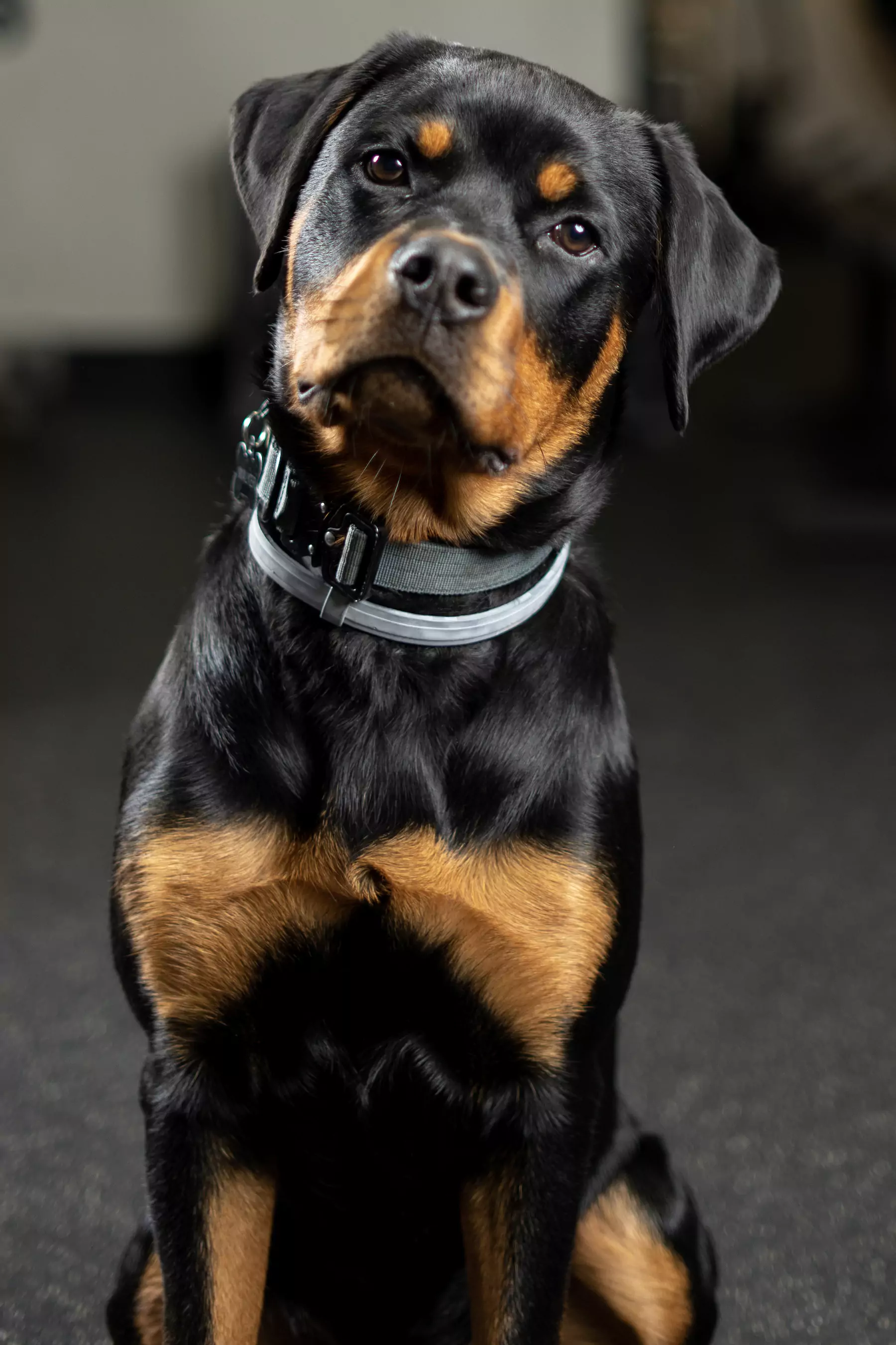 Case Specific Nutrition® | Personalized Nutrition & Lifestyle Services