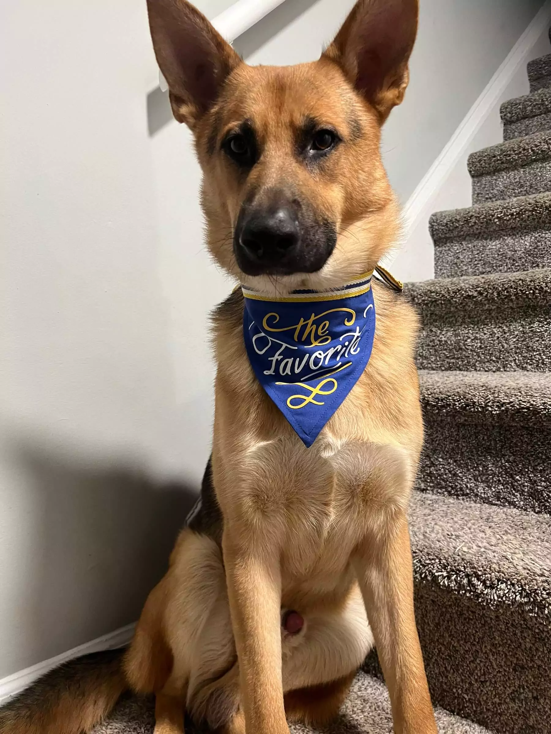 Meet Our Team | Case Specific Nutrition®