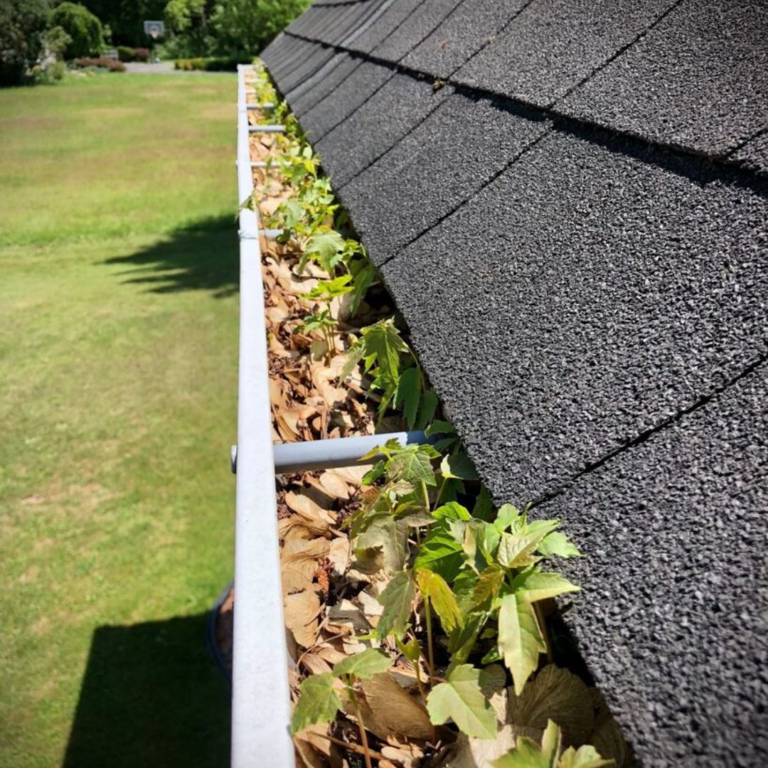 Gutter Cleaning Services - Make Your Home Look Neat