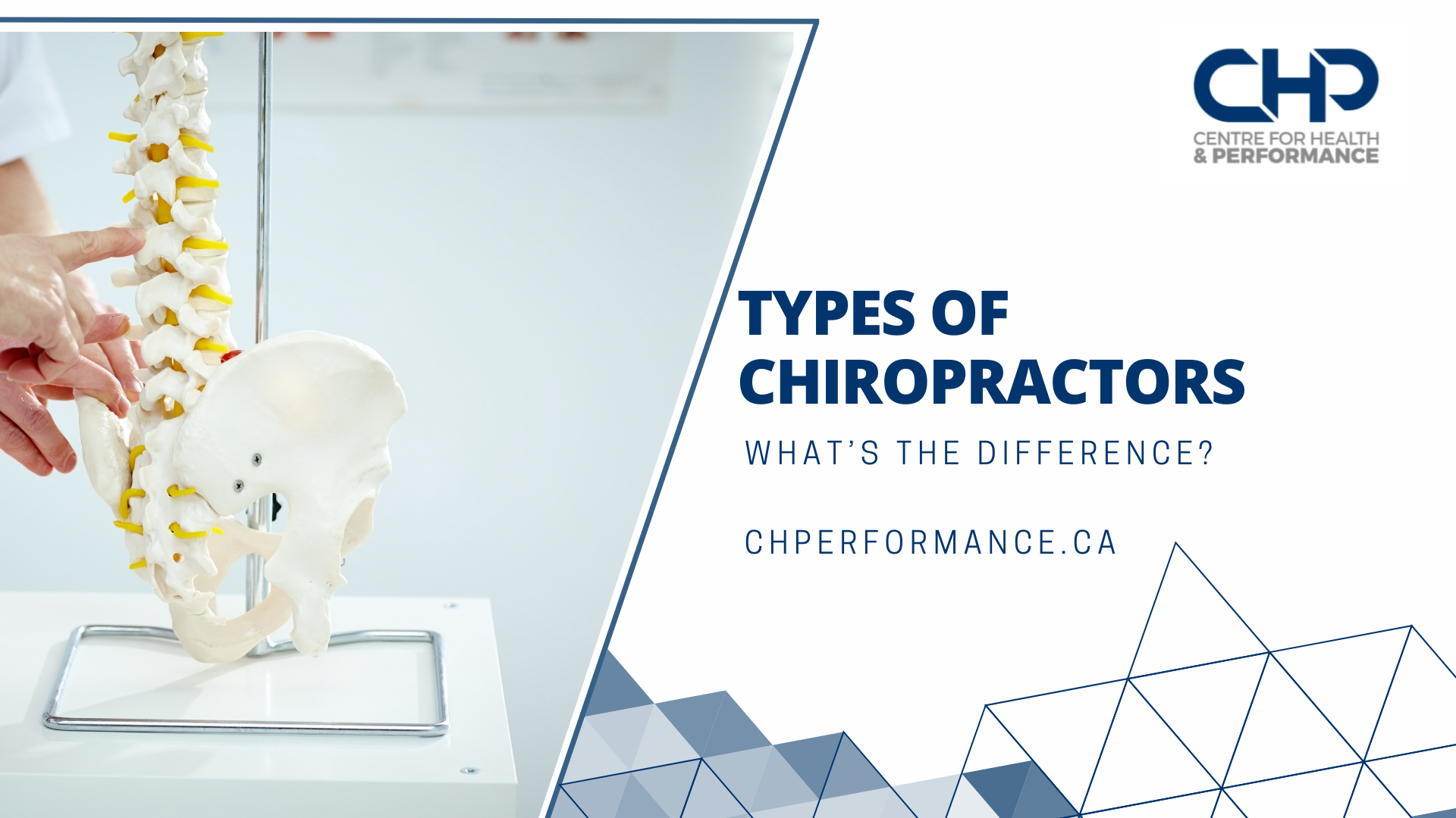 Types Of Chiropractors | Centres For Health & Performance