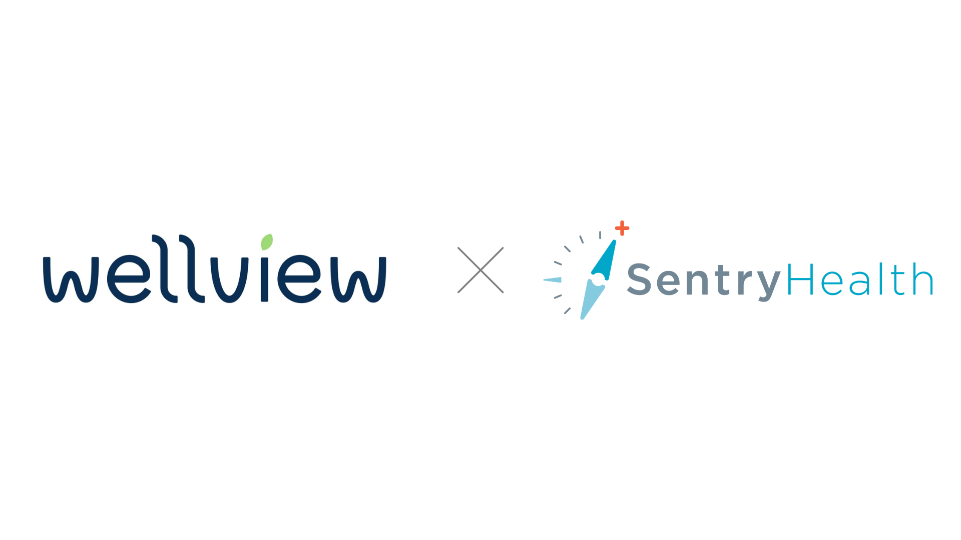 SentryHealth and Wellview Merge to Combine Leading Engagement and Care ...