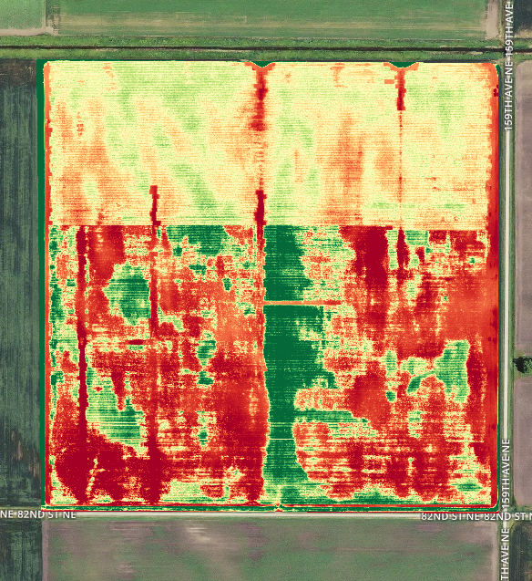 Identifying Crop Variability with Drones