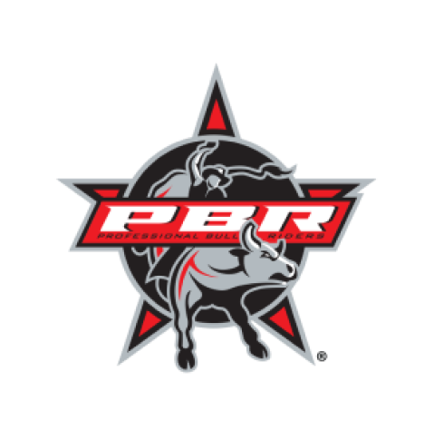 Our Solution - Flicket