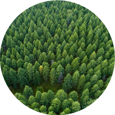 Stave Mill Inventory Management :: Timbersoft