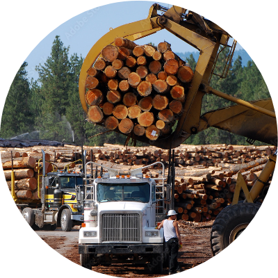 Scaling In Log Loads :: Timbsersoft