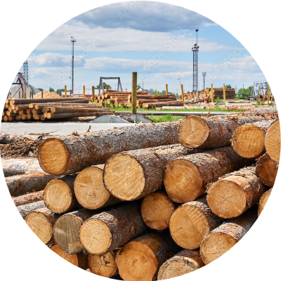 Lumber Mill Inventory Management :: Timbersoft