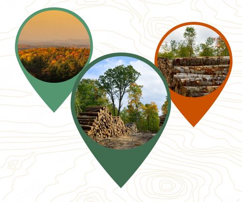 Standing Timber Inventory Management :: Timbersoft