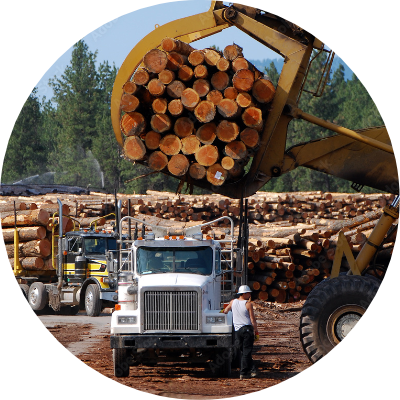 Inventory Management for Log Buyers :: Timbersoft