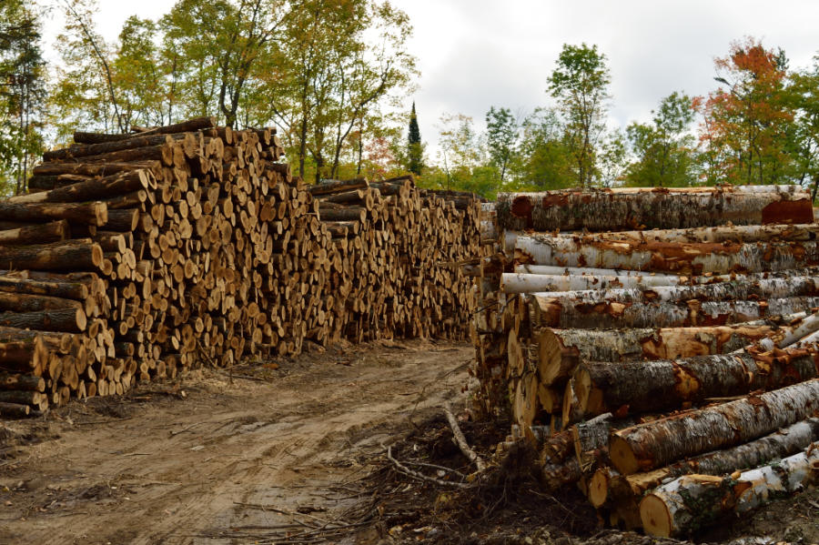 Log Purchasing & Contracts :: Timbersoft